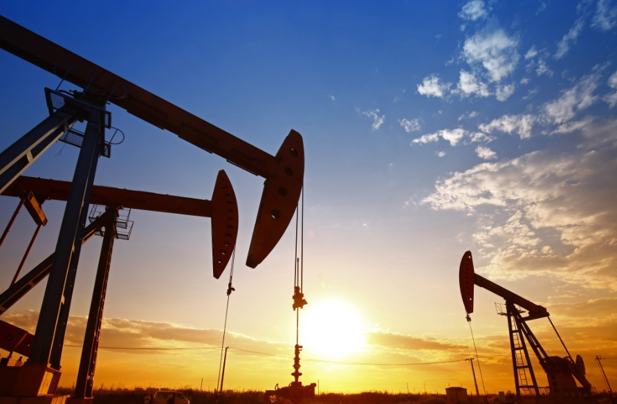 What are the important stages of oil extraction? Choosing pressure ...